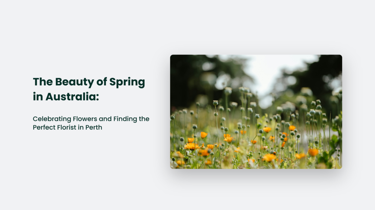 The Beauty Of Spring In Australia: Celebrating Flowers And Finding The ...