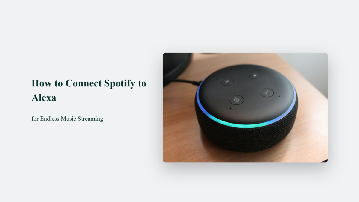 How To Connect Spotify To Alexa For Endless Music Streaming | CJ&CO