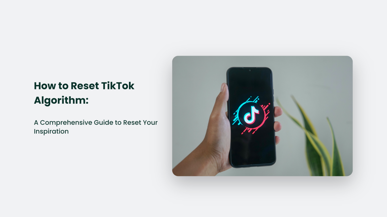 How To Reset TikTok Algorithm: A Comprehensive Guide To Reset Your Inspiration | CJ&CO