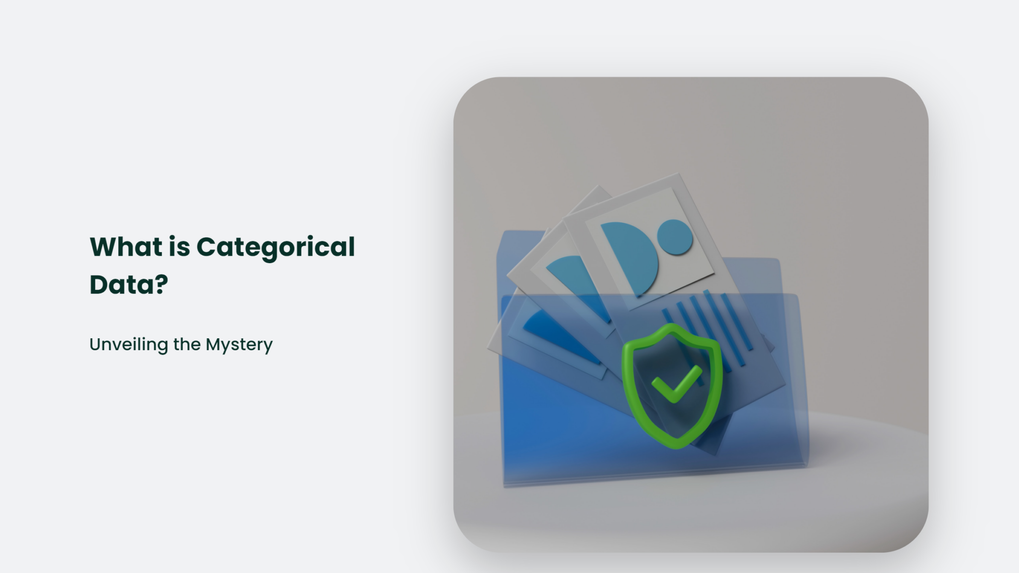 What Is Categorical Data? Unveiling The Mystery | CJ&CO