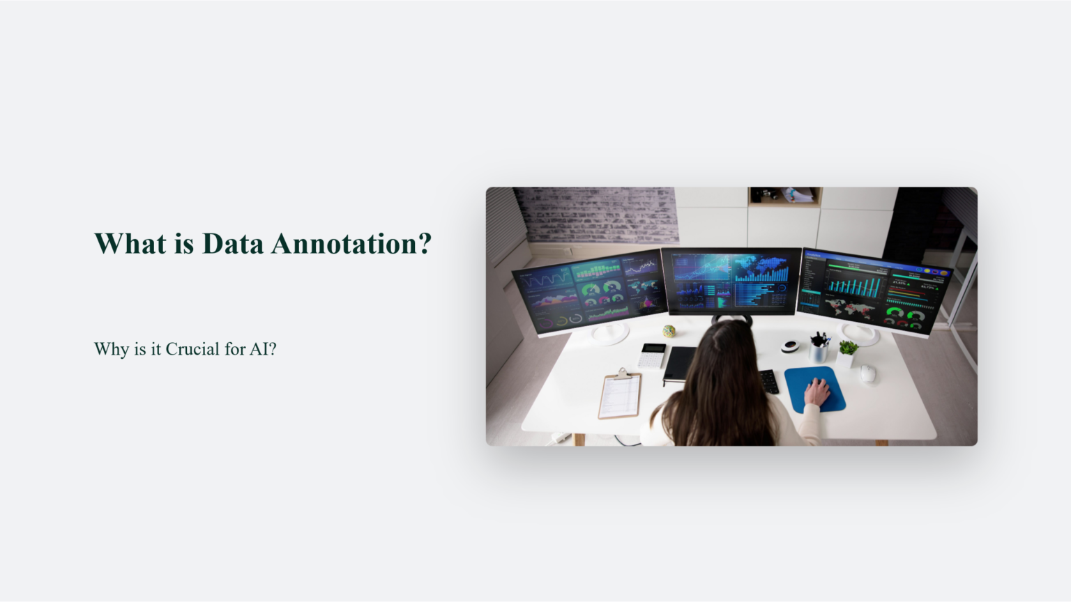 What Is Data Annotation, And Why Is It Crucial For AI? | CJ&CO