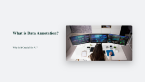 What Is Data Annotation, And Why Is It Crucial For AI? | CJ&CO