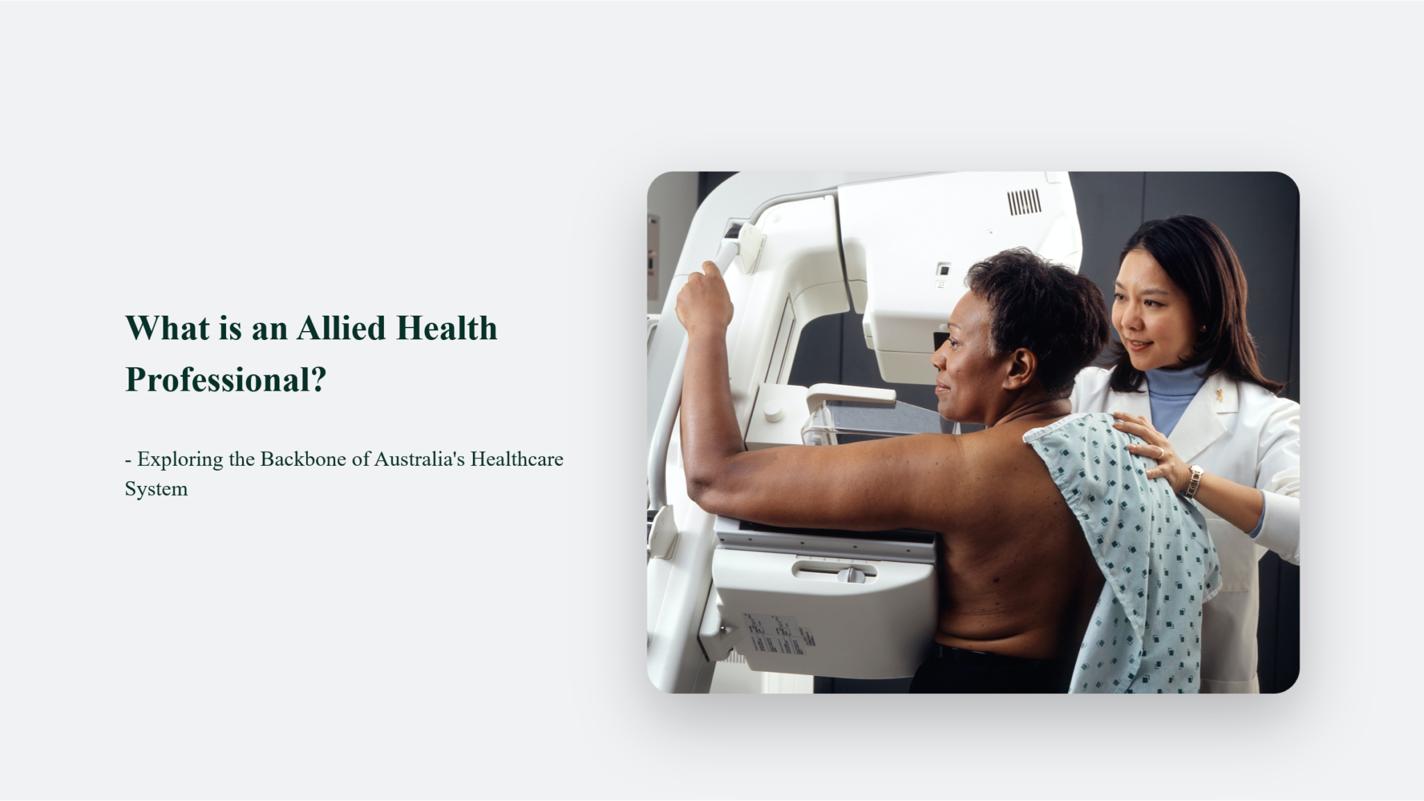 What Is An Allied Health Professional? - Exploring The Backbone Of ...