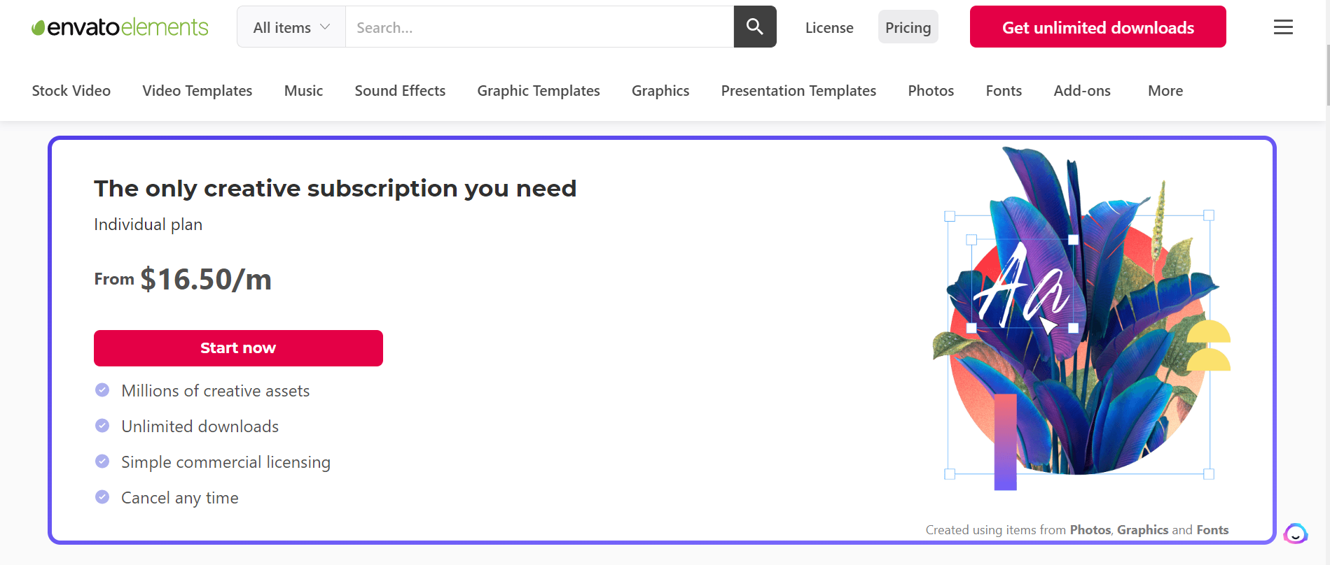 Envato Elements Pricing: The Creator's Paradise | CJ&CO