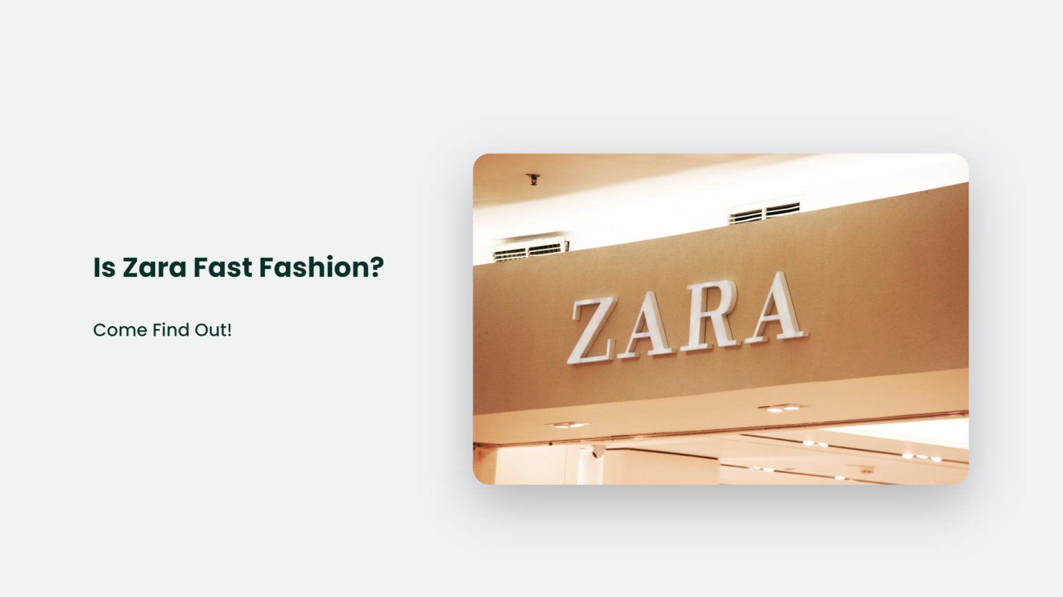 Is Zara Fast Fashion? Come Find Out! | CJ&CO