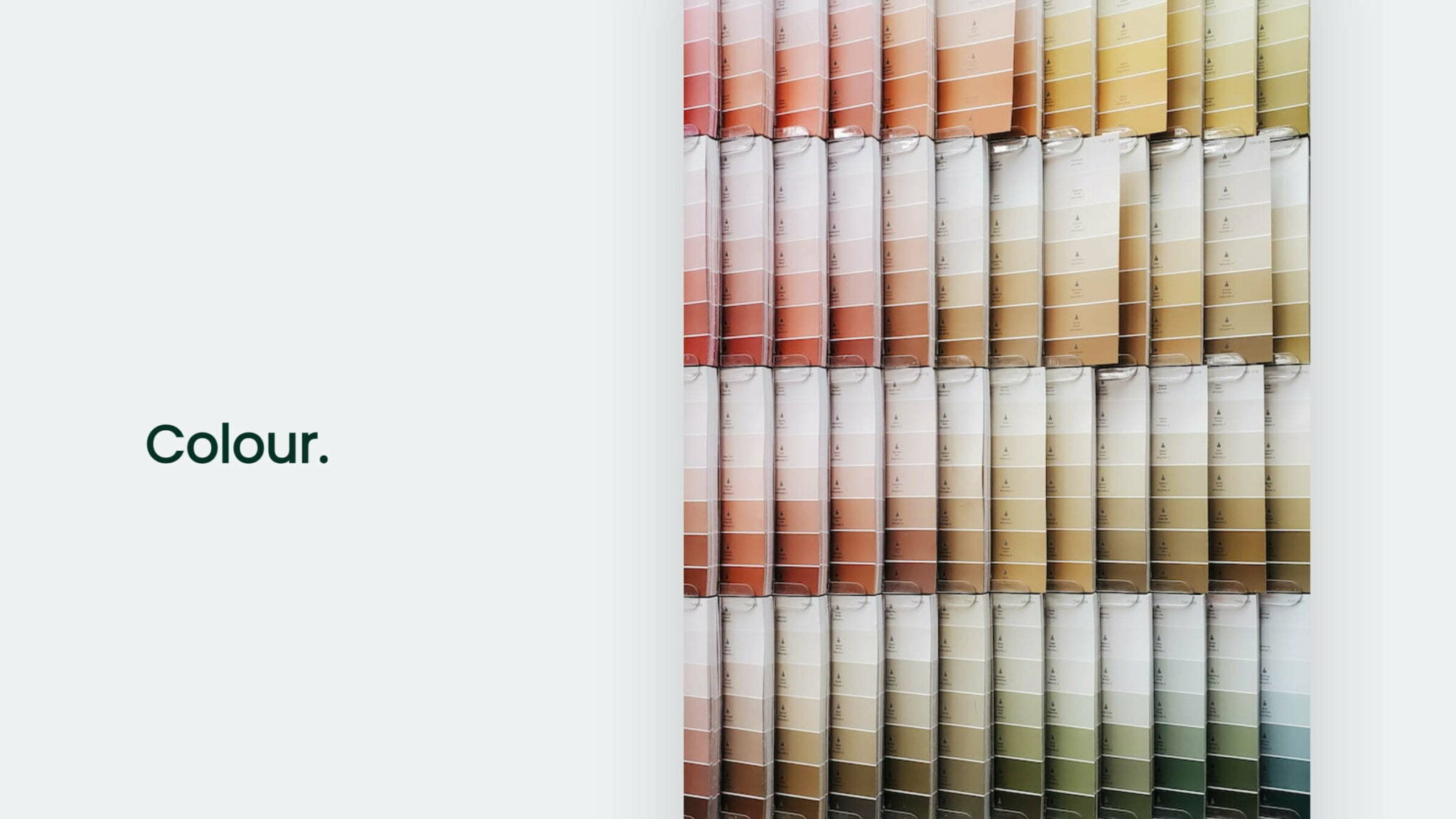 What Are School Brand Guidelines: A Complete Guide To Help You Out In ...