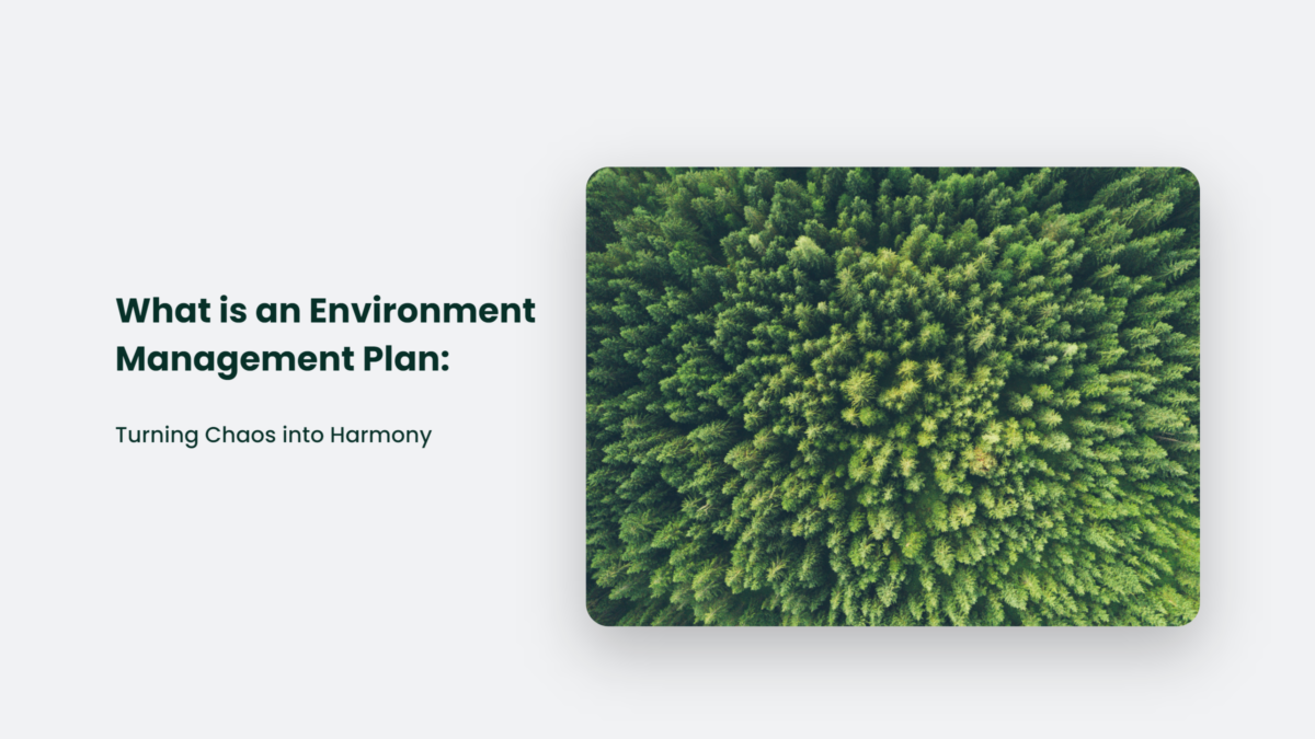 What Is An Environment Management Plan: Turning Chaos Into Harmony | CJ&CO