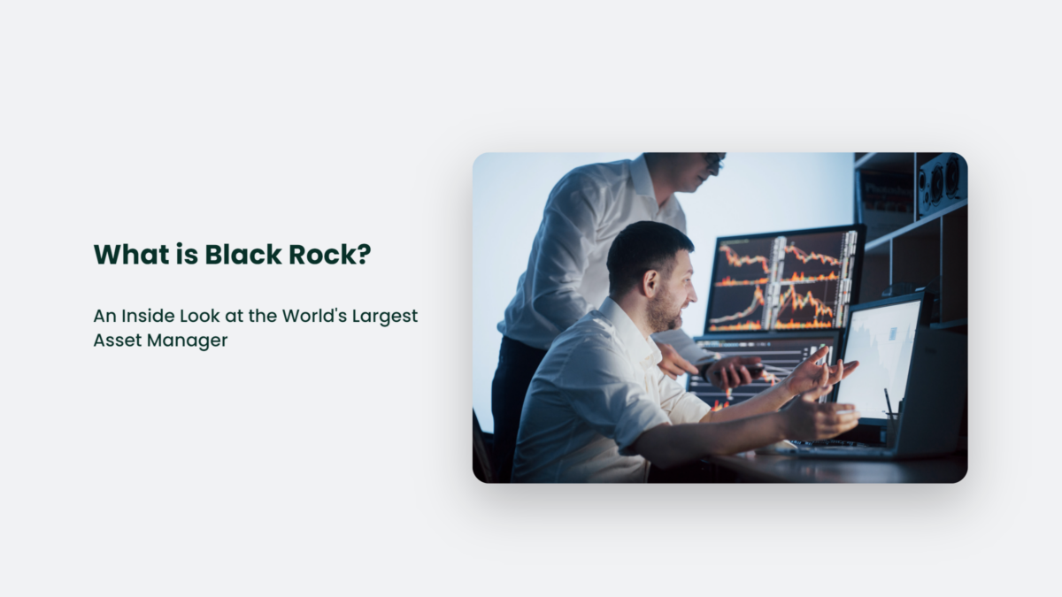 What Is Black Rock? An Inside Look At The World's Largest Asset Manager ...