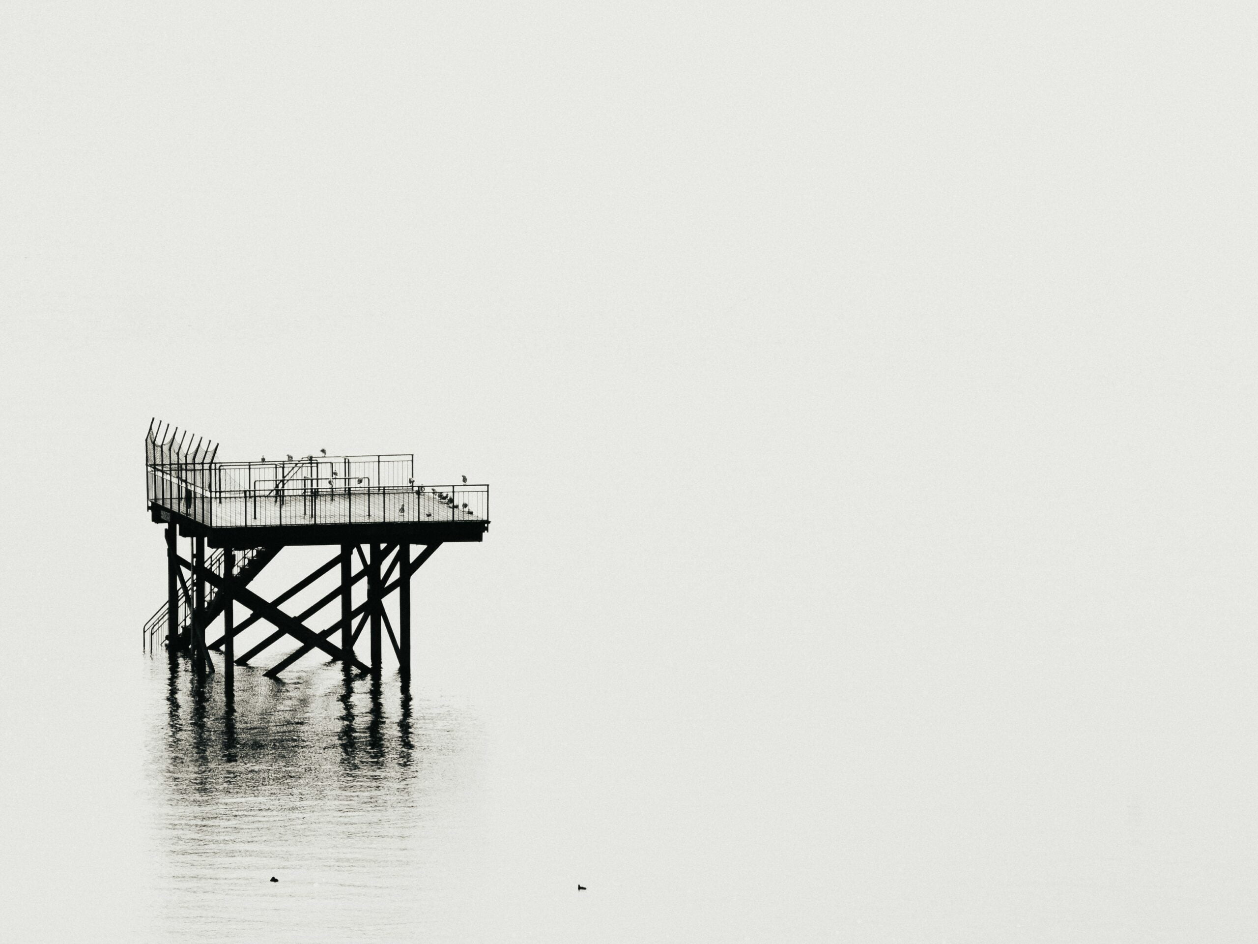 What Is Negative Space In Photography CJ CO